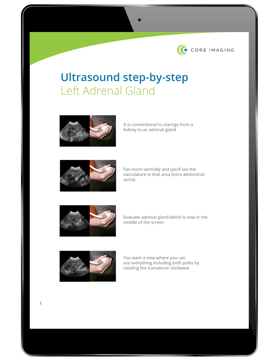 Step By Step Ultrasound Guide Left Adrenal Gland
